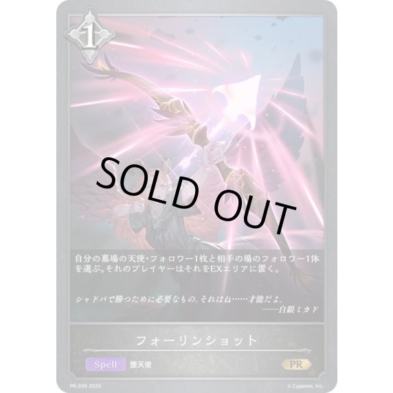 〔状態B〕フォーリンショット【PR】{PR-246}