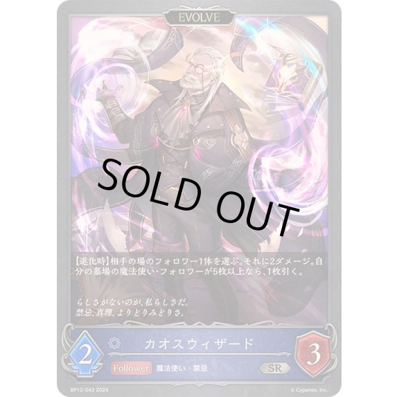 〔状態B〕カオスウィザード(EVOLVE)【SR】{BP12-043}