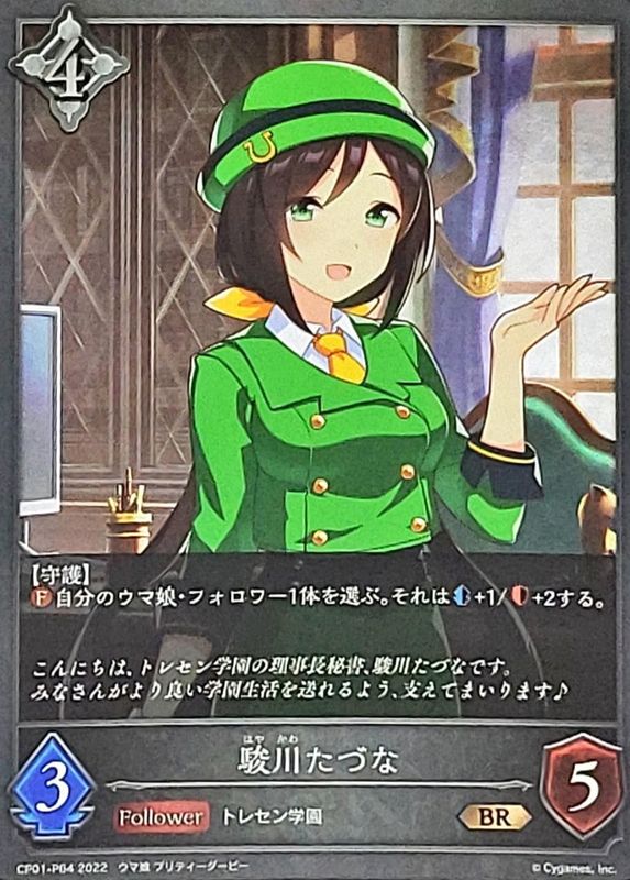 駿川たづな【BR・プレミアム】{CP01-P64}