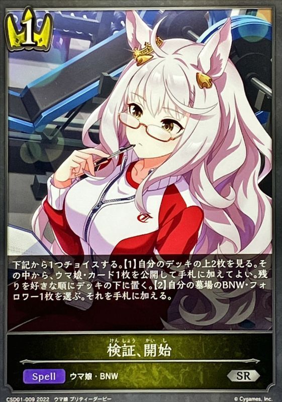 検証、開始【SR】{CSD01-009}